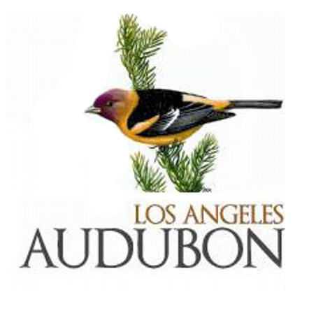 Local Audubon Chapters – Bird L.A. Site